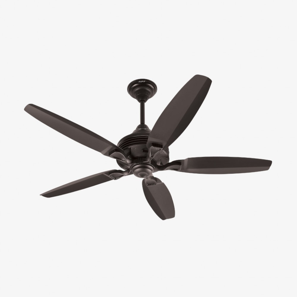 Penta Model Fan - Designer Series